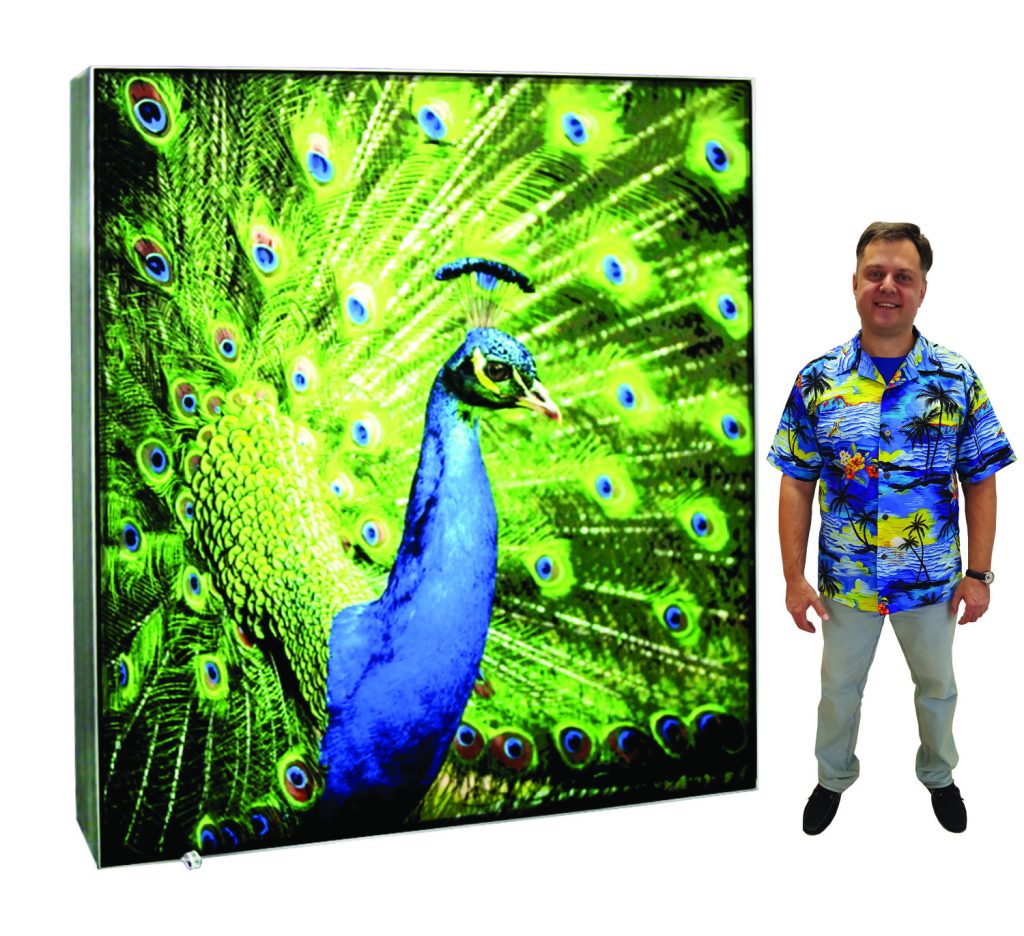 8' LED POP Up Display (SEG) - 2MP